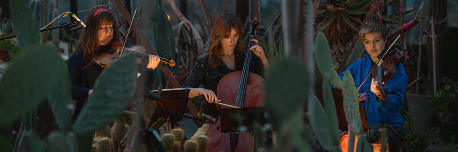 J.A.M. String Collective - Bloomsbury Festival